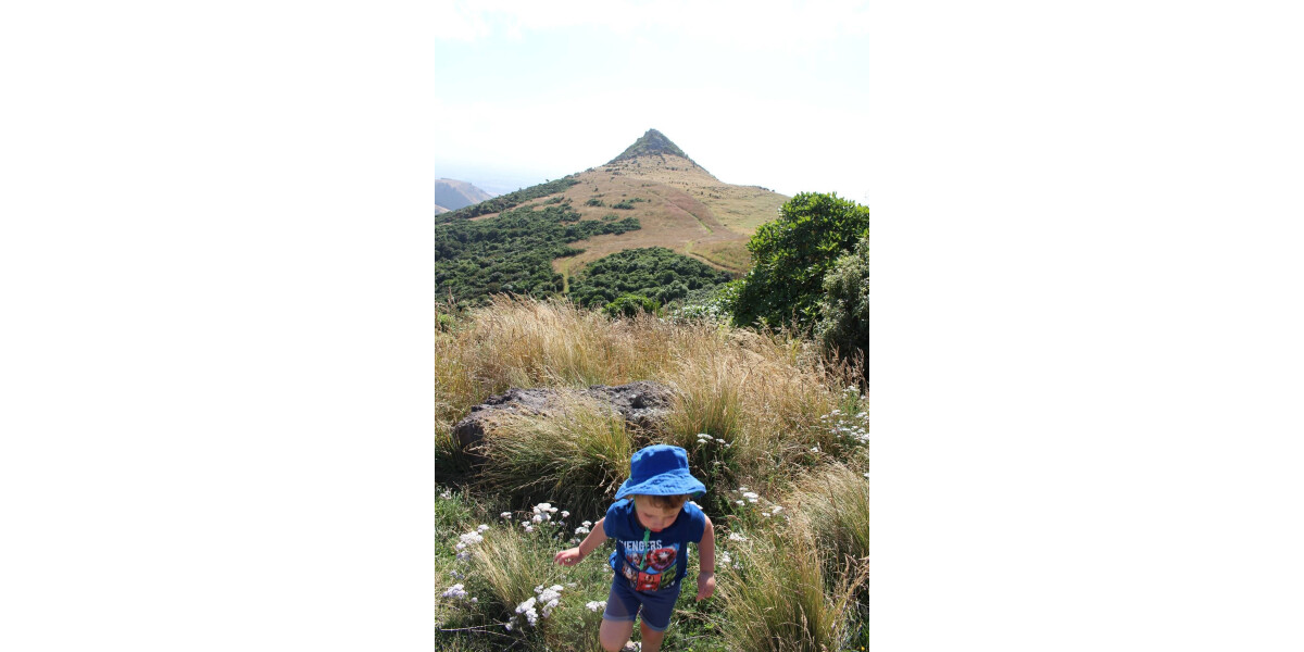 Gibraltar Rock from Omahu Bush Reserve | discoverywall.nz