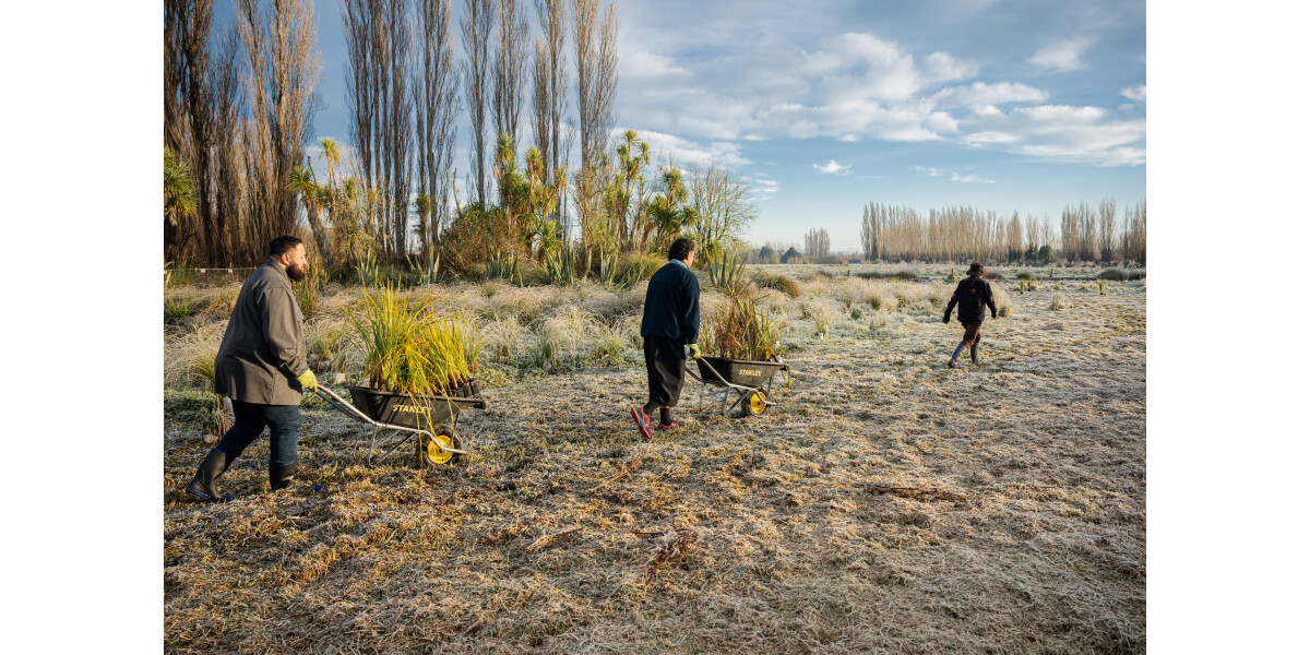 Vanuatu Bislama Language Week planting day | discoverywall.nz