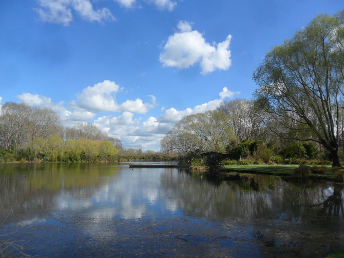 The Groynes | discoverywall.nz