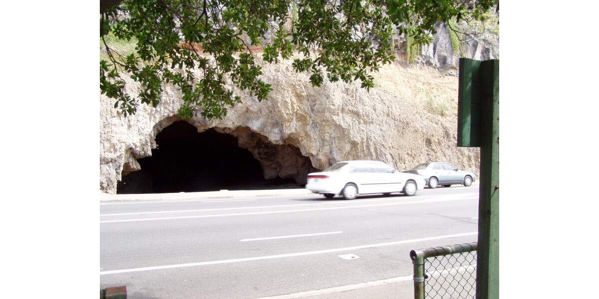 Moa Bone Point Cave, Redcliffs | discoverywall.nz