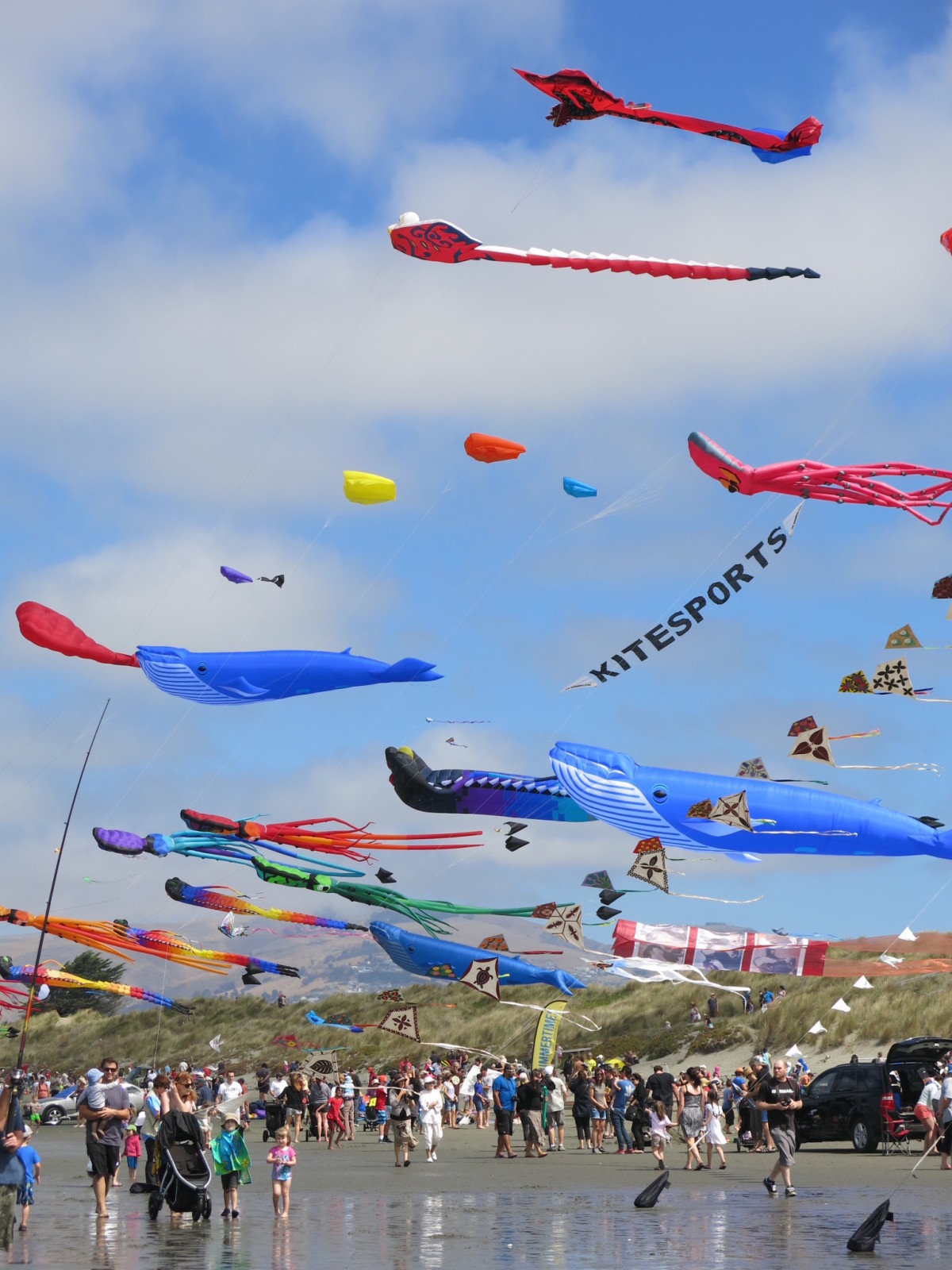 Streets Kite Day - New Brighton | discoverywall.nz