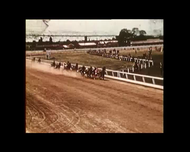 Races at Addington | discoverywall.nz