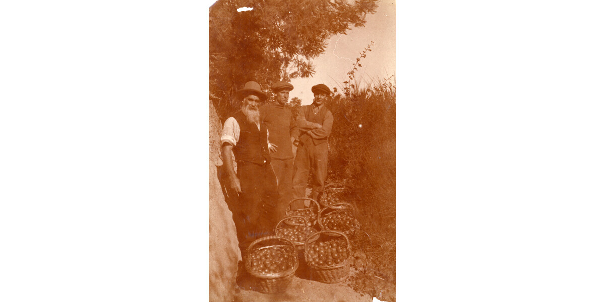 Mr James Turner | discoverywall.nz