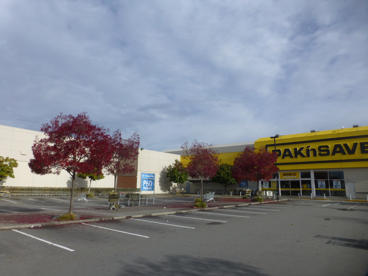 Pak n Save | discoverywall.nz