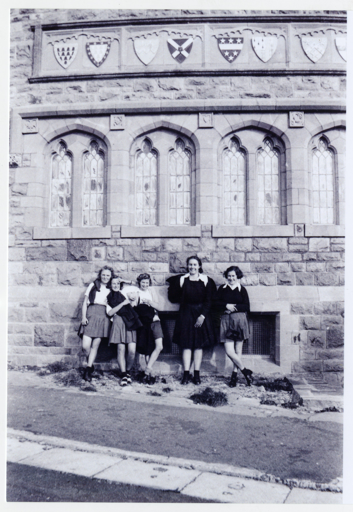 Sign of the Takahe | discoverywall.nz