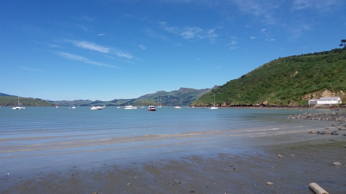 Cass Bay | discoverywall.nz