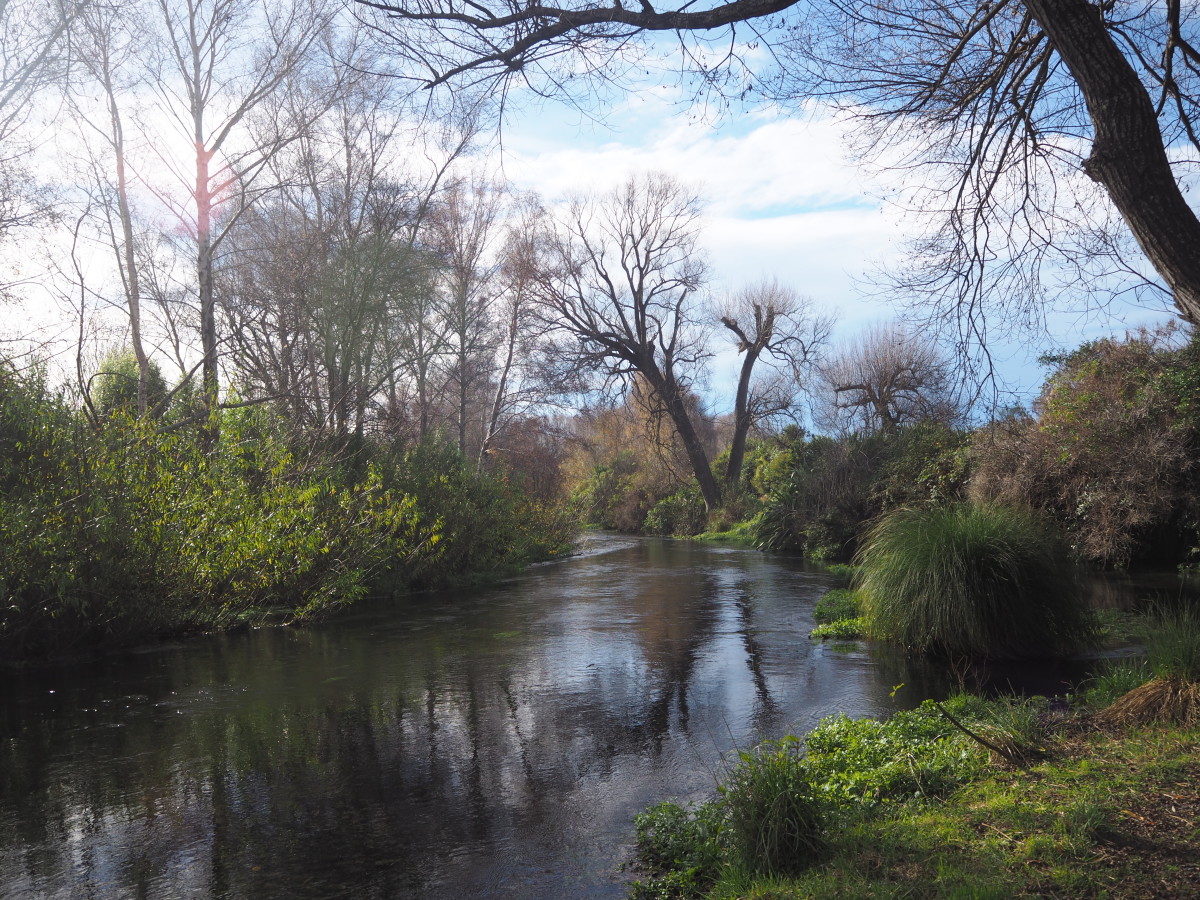 The Groynes | discoverywall.nz