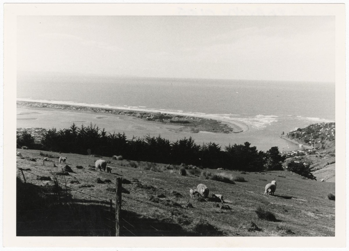 View over the Estuary | discoverywall.nz