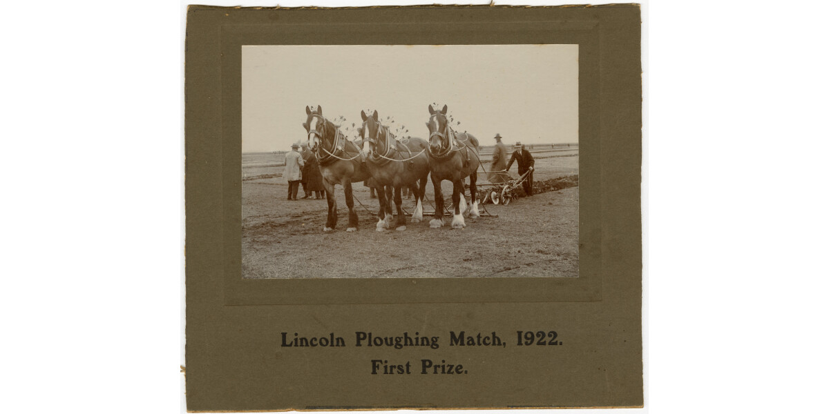 Lincoln Plowing Match, first prize | discoverywall.nz
