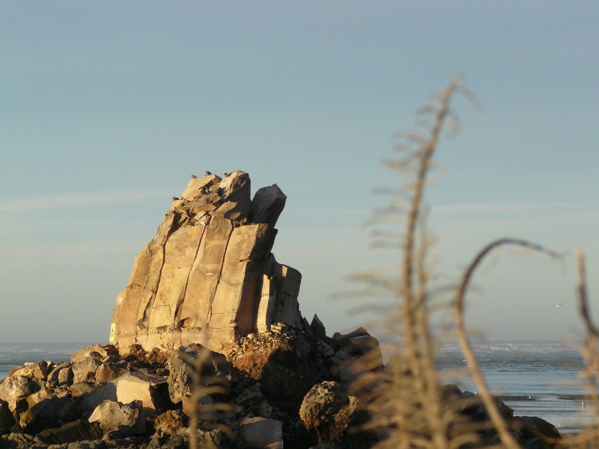 Rapanui Shag Rock | discoverywall.nz