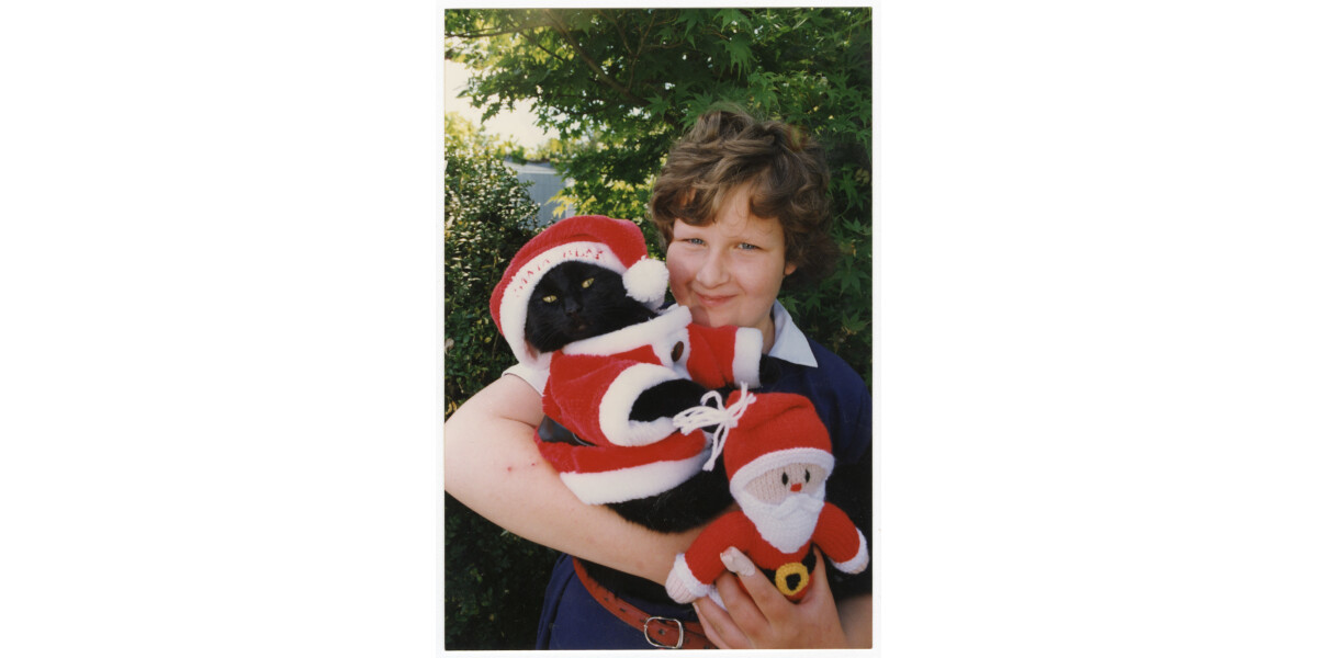 Marmite the cat, dressed as Santa | discoverywall.nz