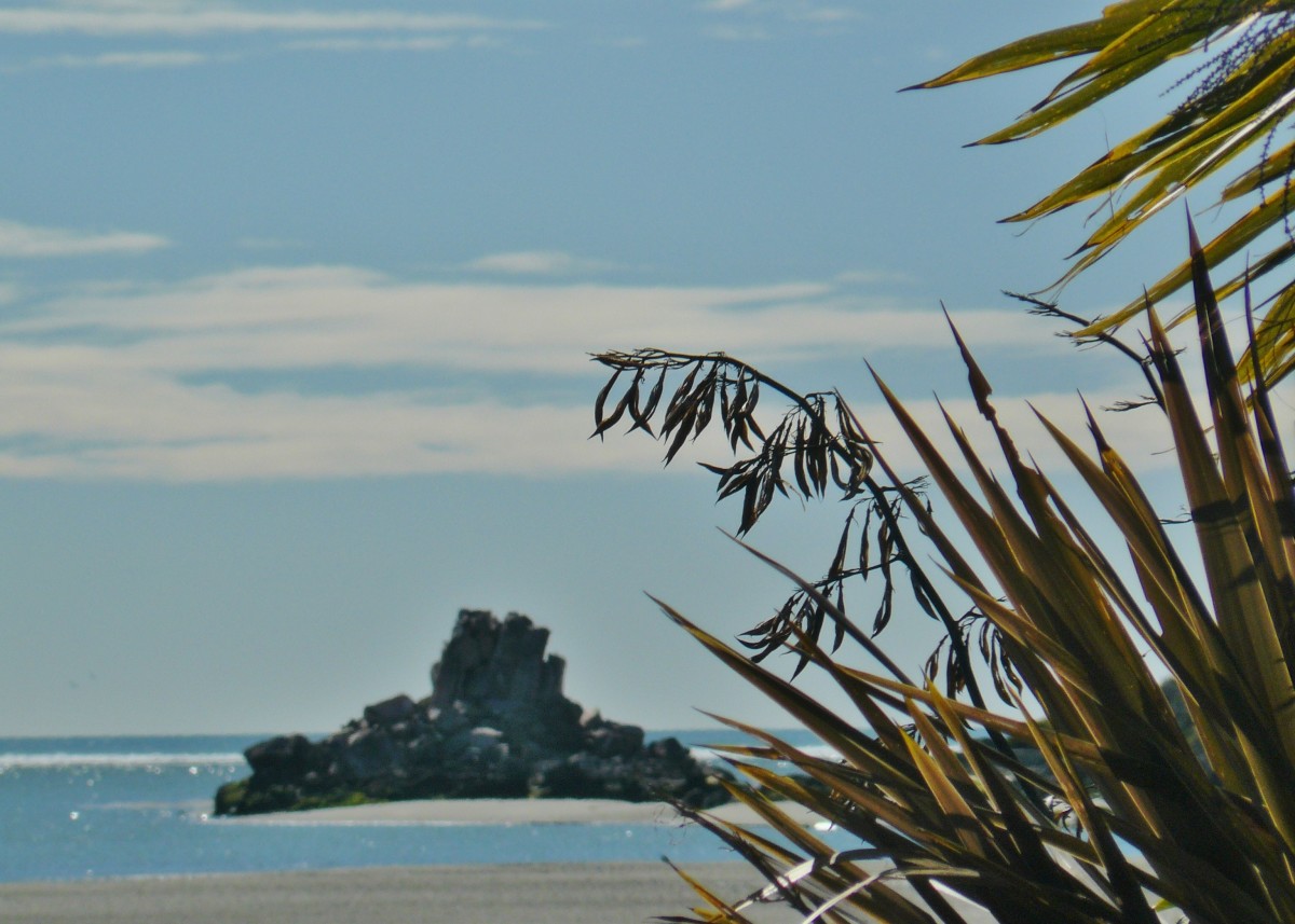 Rapanui Shag Rock | discoverywall.nz
