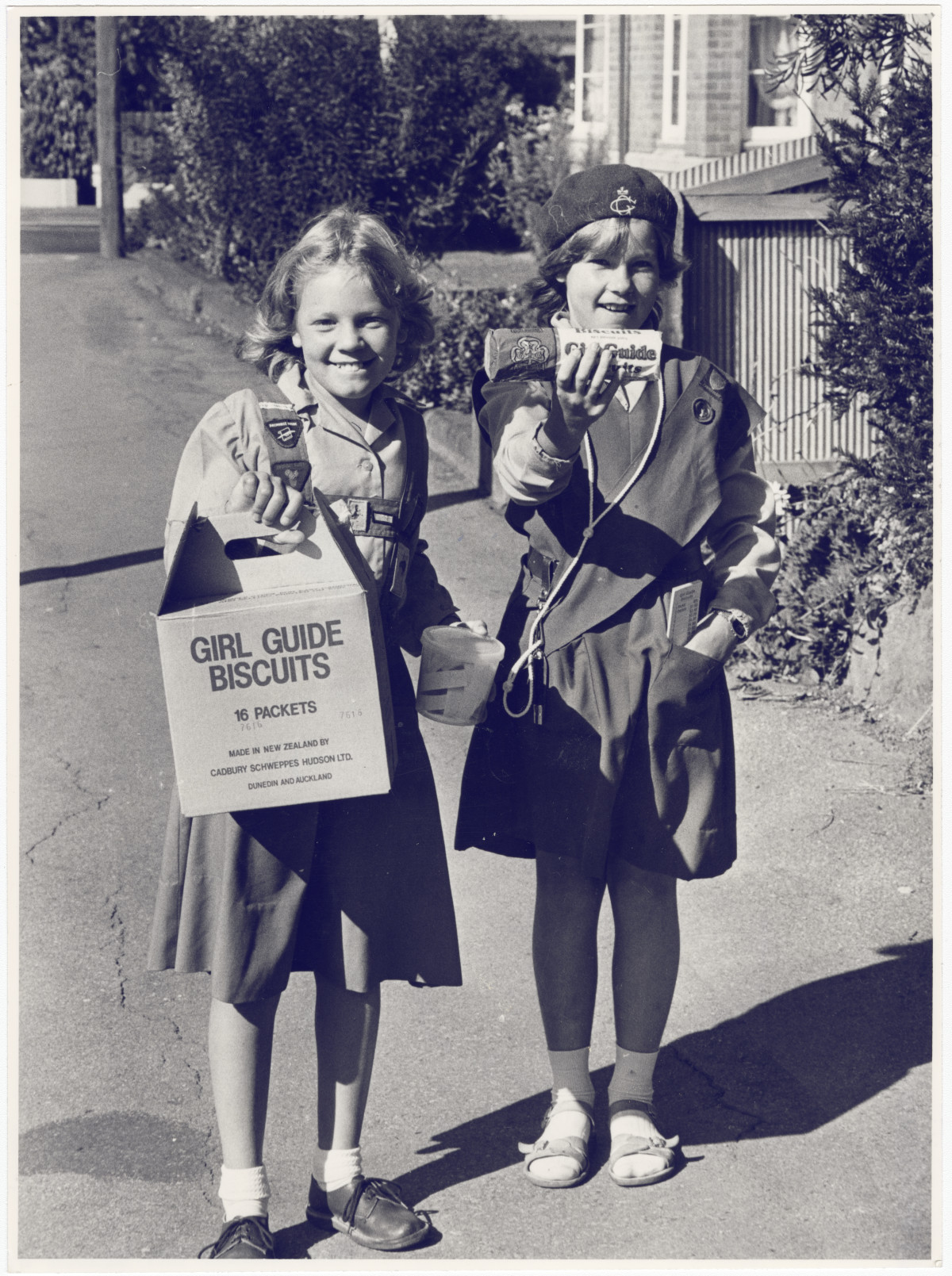 Girl Guide biscuits for sale | discoverywall.nz