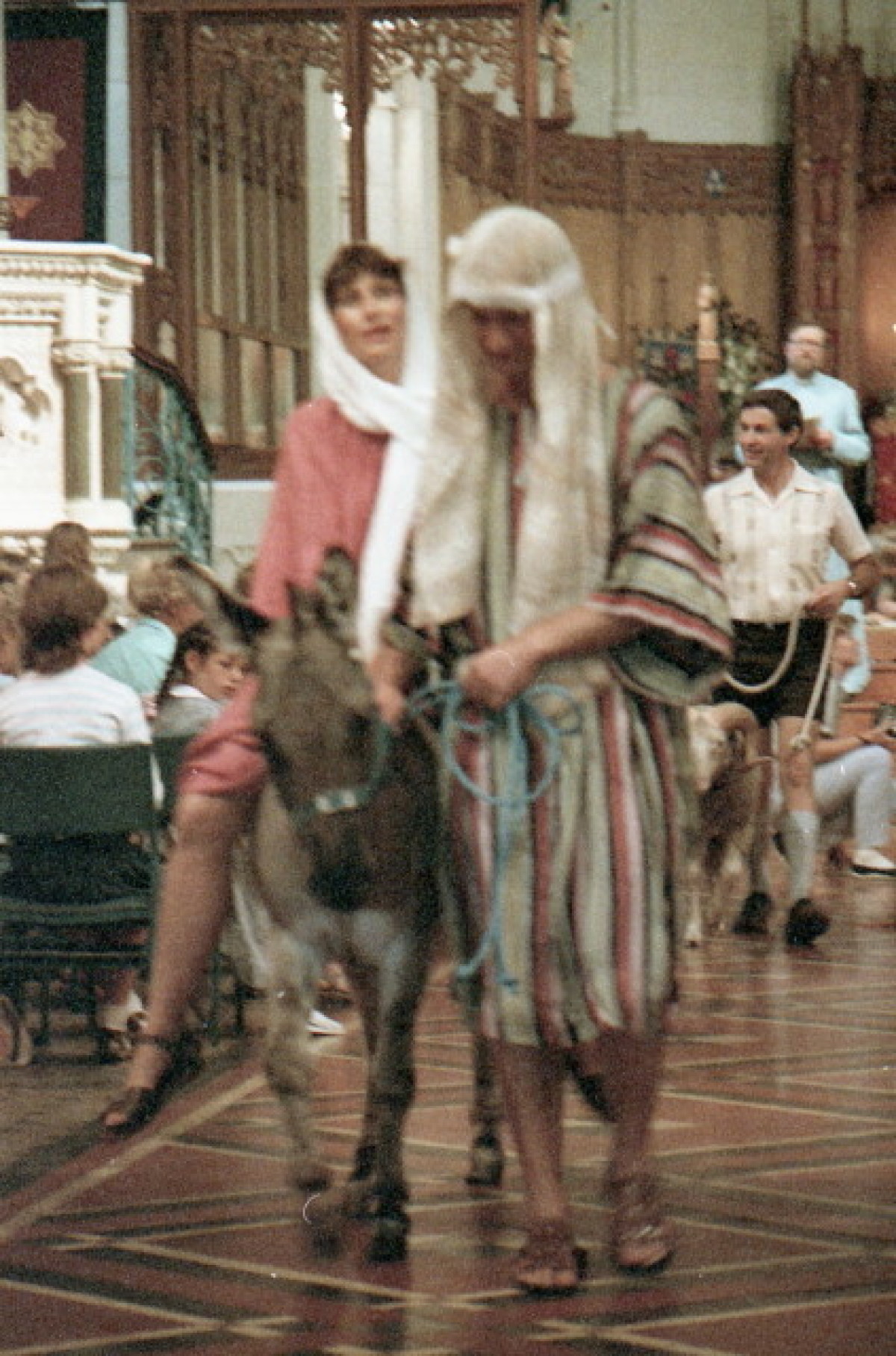 ChristChurch Cathedral Nativity | discoverywall.nz