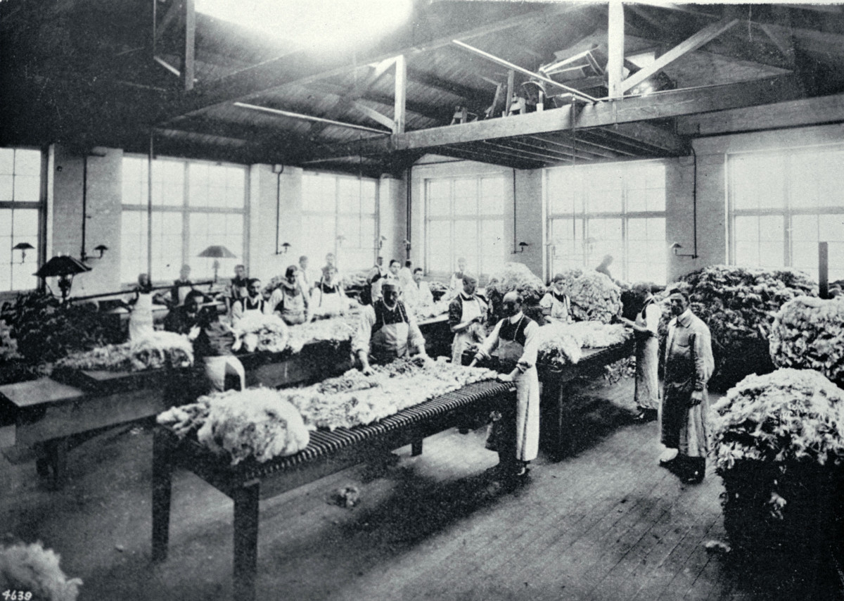 Wool classing classes at the Christchurch Technical College