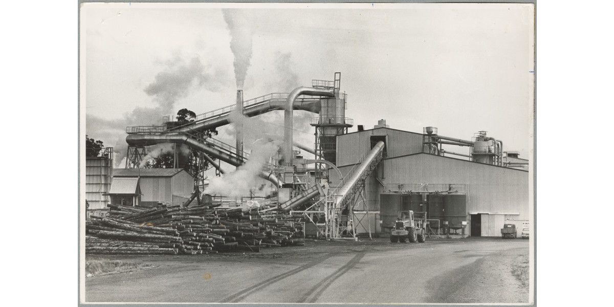 Canterbury Timber Products factory | discoverywall.nz