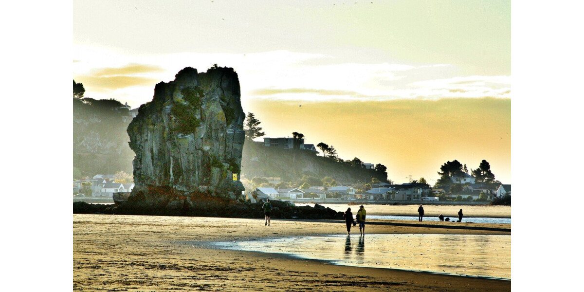 Shag Rock, Sumner Beach, 2009 | discoverywall.nz