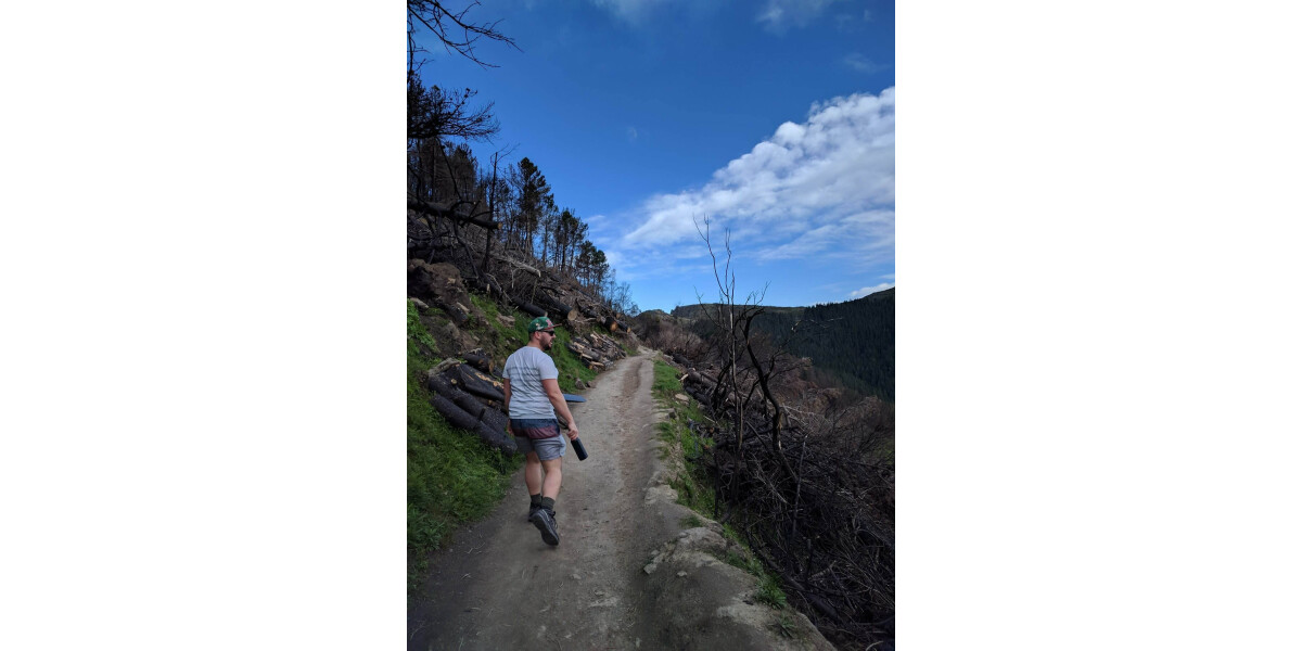 Walking Harry Ell track, 2017 | discoverywall.nz