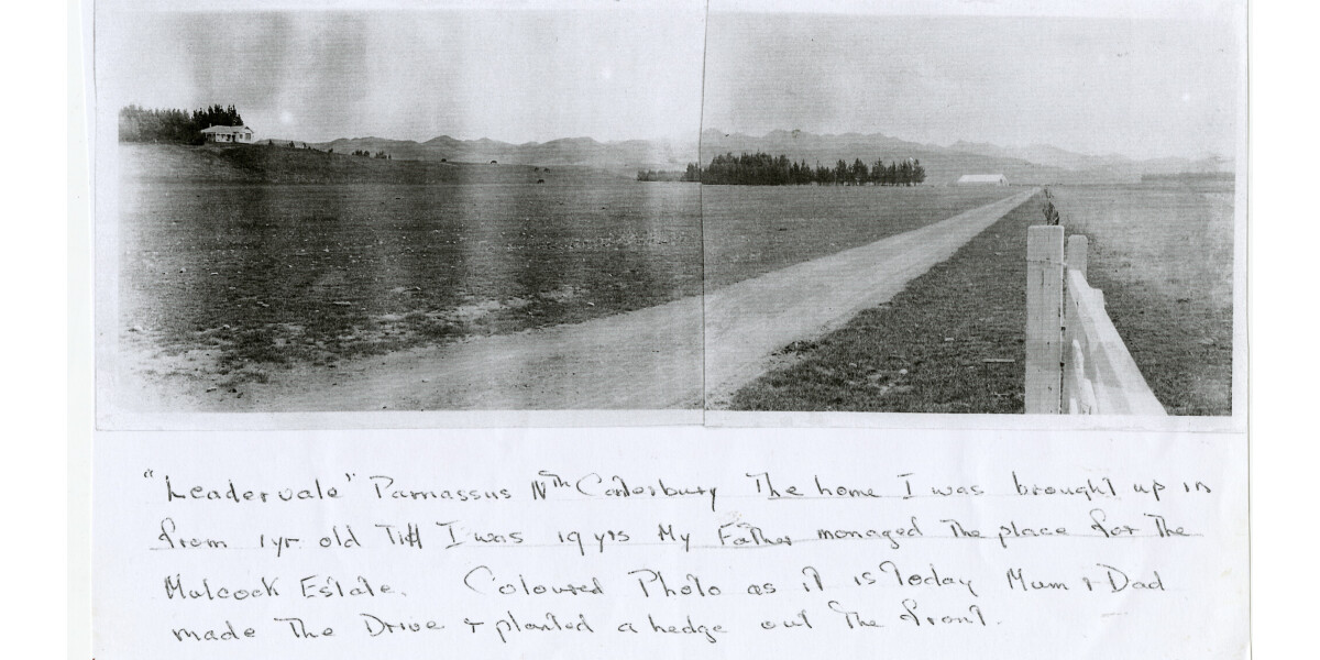 Leadervale Parnassus | discoverywall.nz