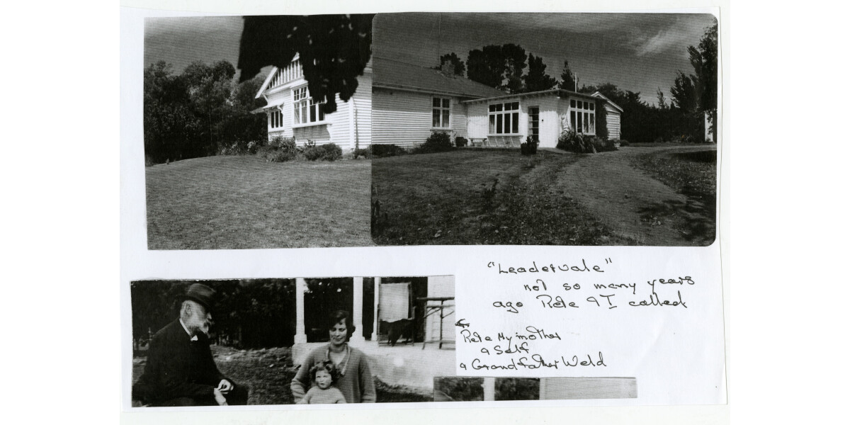 Leadervale Parnassus | discoverywall.nz